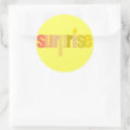 Surprise Party Stickers | Zazzle