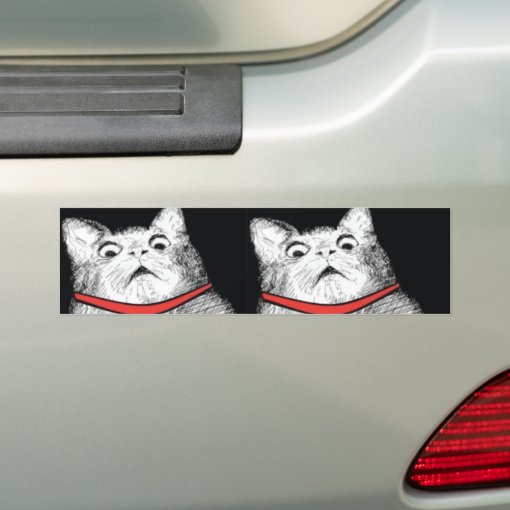 Surprised Cat Gasp Meme - Bumper Sticker | Zazzle