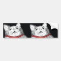 Surprised Cat Gasp Meme - Bumper Sticker | Zazzle
