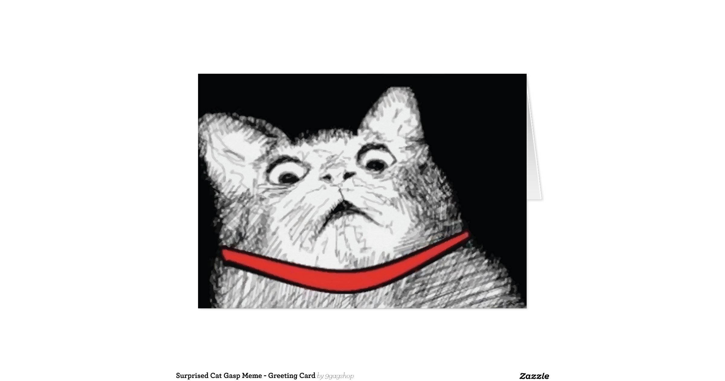 surprised_cat_gasp_meme_greeting_card-r55f71b0dae3540ecb99c2c5459c0b2e3 ...