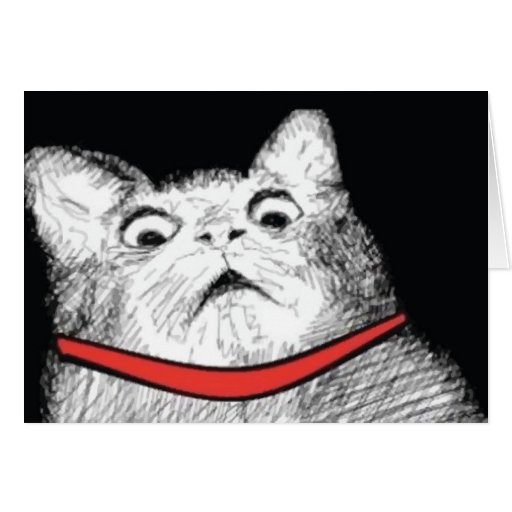 Surprised Cat Gasp Meme - Greeting Card | Zazzle