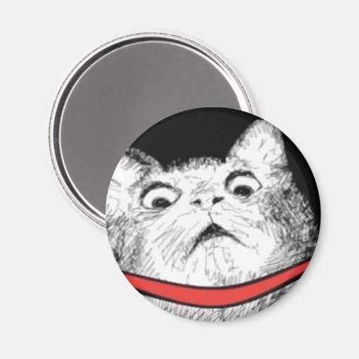 Surprised Cat Gasp Meme - Magnet | Zazzle