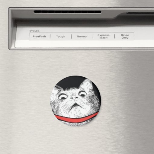 Surprised Cat Gasp Meme - Magnet | Zazzle