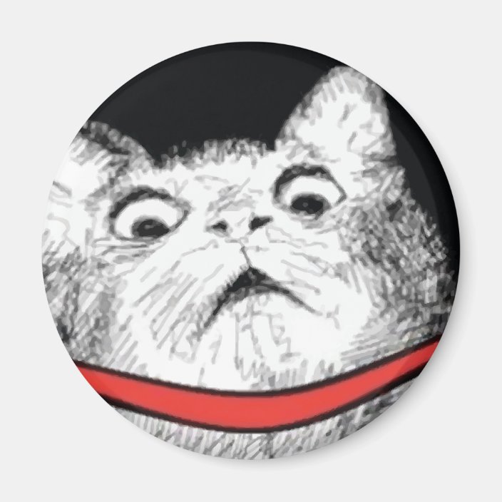 Surprised Cat Gasp Meme - Magnet | Zazzle.com