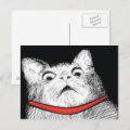 Surprised Cat Gasp Meme - Postcard | Zazzle