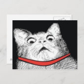 Surprised Cat Gasp Meme - Postcard | Zazzle