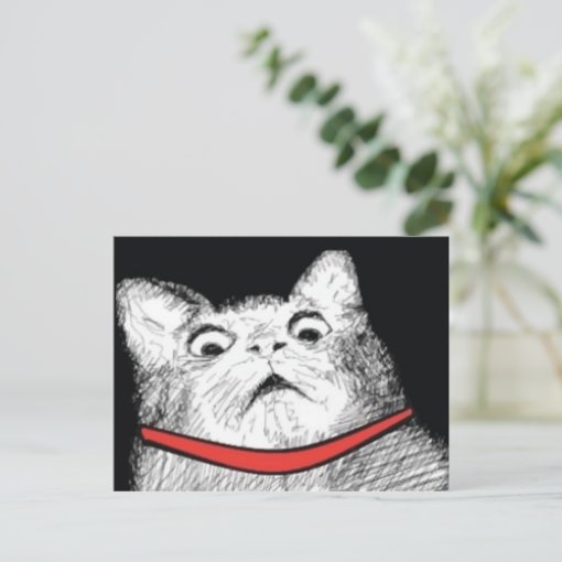 Surprised Cat Gasp Meme - Postcard | Zazzle