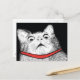 Surprised Cat Gasp Meme - Postcard | Zazzle
