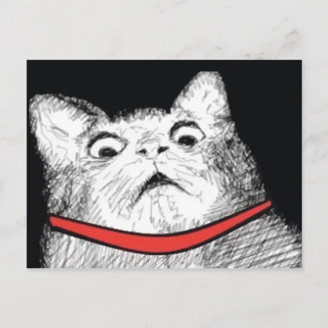 Surprised Cat Gasp Meme - Postcard | Zazzle