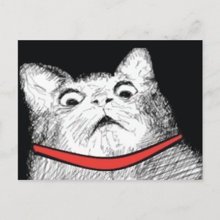 Surprised Cat Gasp Meme - Postcard | Zazzle.com