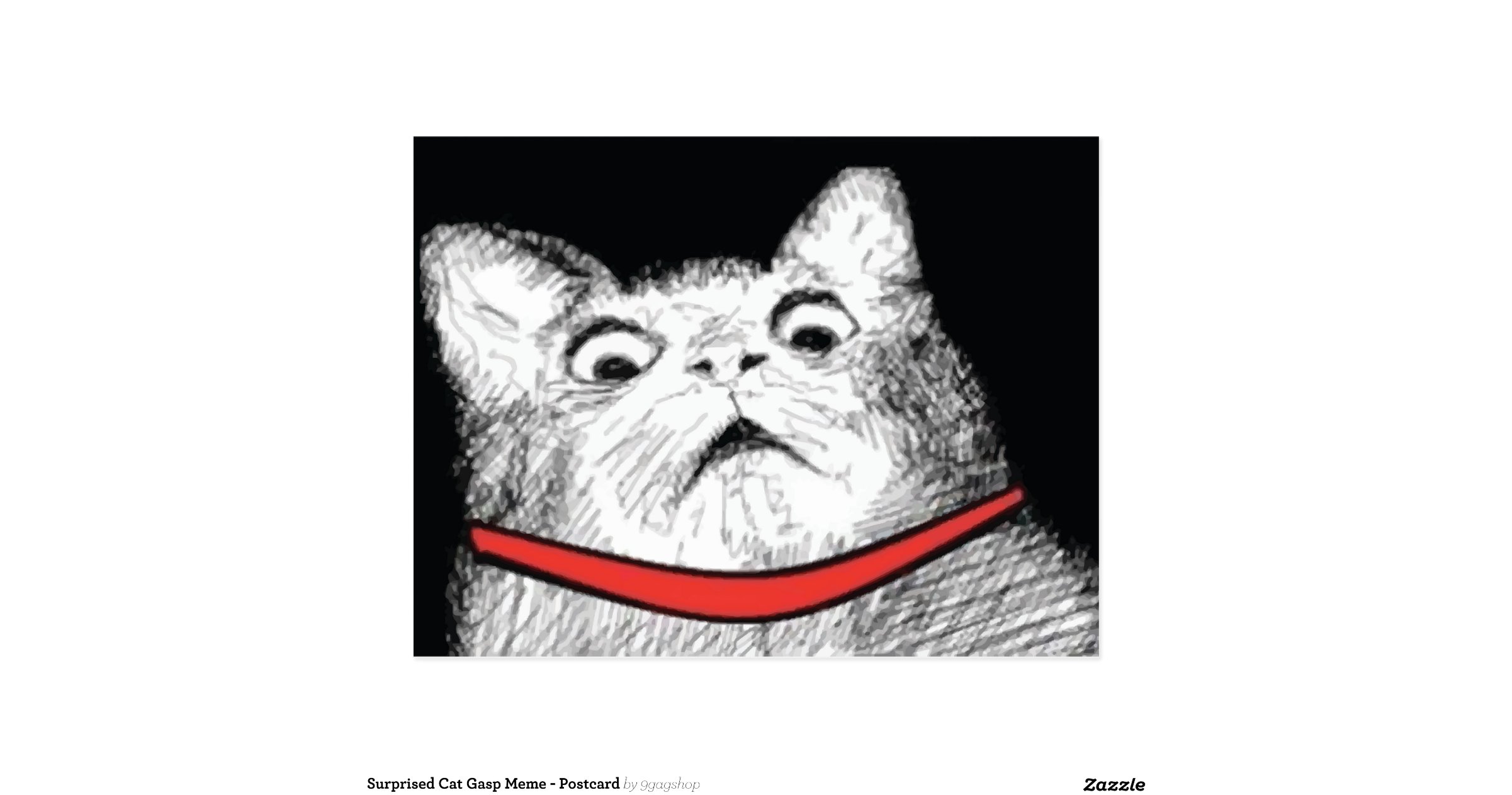 surprised_cat_gasp_meme_postcard-r061397181b5e47e3aeafdc0224f921b6 ...