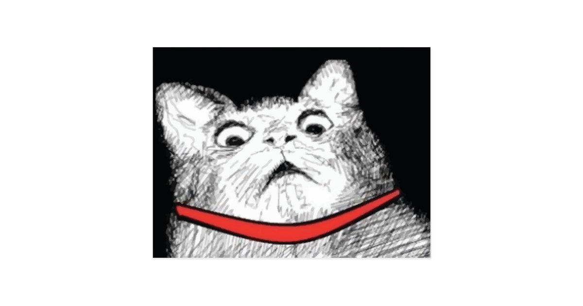 Surprised Cat Gasp Meme - Postcard | Zazzle