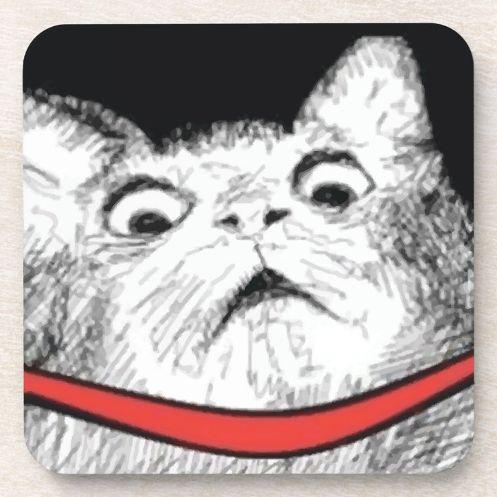 Surprised Cat Gasp Meme - set of 6 Cork Coasters | Zazzle.com