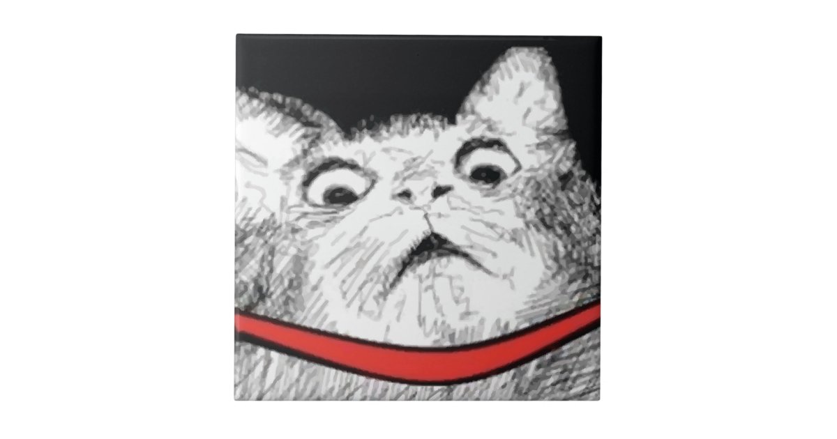 Surprised Cat Gasp Meme - Tile | Zazzle