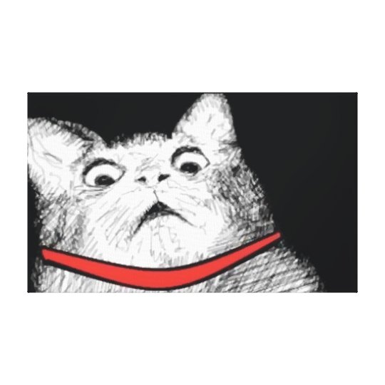 Surprised Cat Gasp Meme - Wrapped Canvas | Zazzle.com