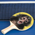 Surprised Monkey with Two Expressions Ping Pong Paddle | Zazzle