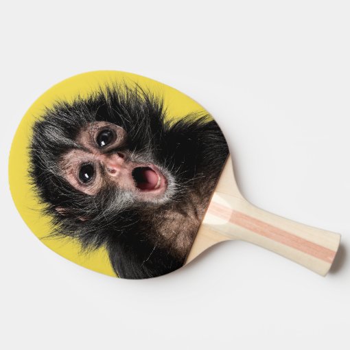 Surprised Monkey with Two Expressions Ping Pong Paddle | Zazzle