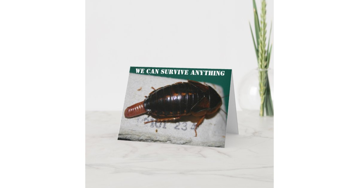Survive Anything Anniversary Cockroaches Card | Zazzle