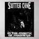 Sutter Canes In The Mouth Of Madness Poster | Zazzle