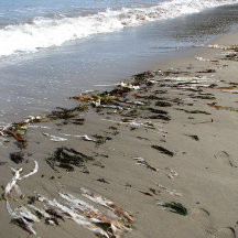 Lighthouse Route Apparel & Unique Decor: Designs & Collections on Zazzle