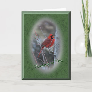 Cardinal Thank You Cards - Greeting & Photo Cards | Zazzle