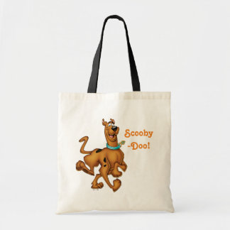 Scooby Doo Gifts on Zazzle