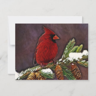 Cardinal Christmas Cards - Greeting & Photo Cards | Zazzle