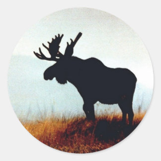 Moose Stickers | Zazzle