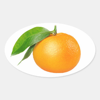Orange Fruit Stickers | Zazzle