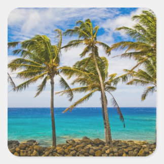 Coconut Tree Stickers | Zazzle