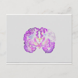 Brain Gifts on Zazzle