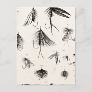 Fly Fishing Cards | Zazzle