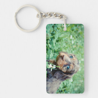 Dog Keychains, Dog Key Chains & Dog Keychain Designs