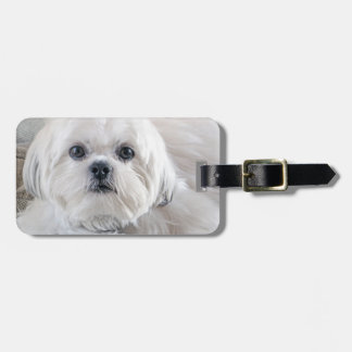 Shih Tzu Gifts on Zazzle