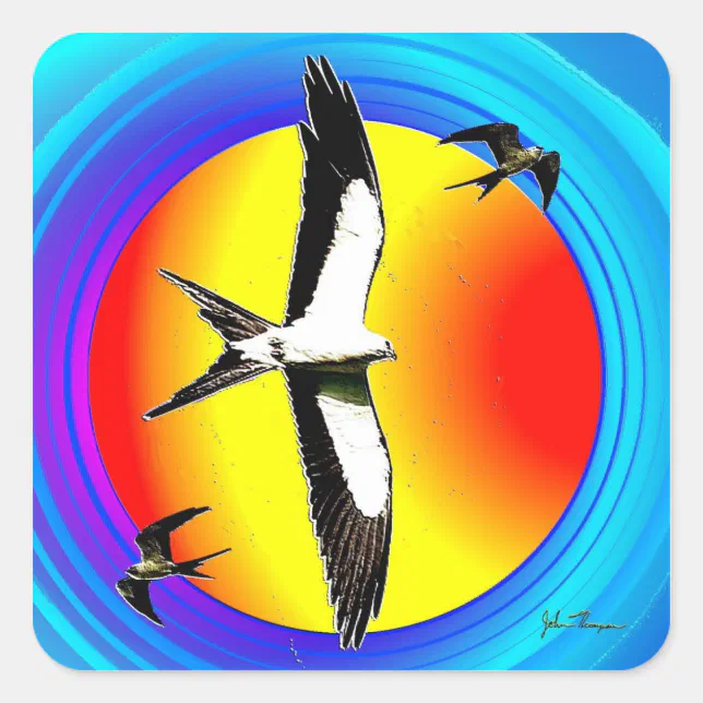 Swallow Tail Kite stickers | Zazzle