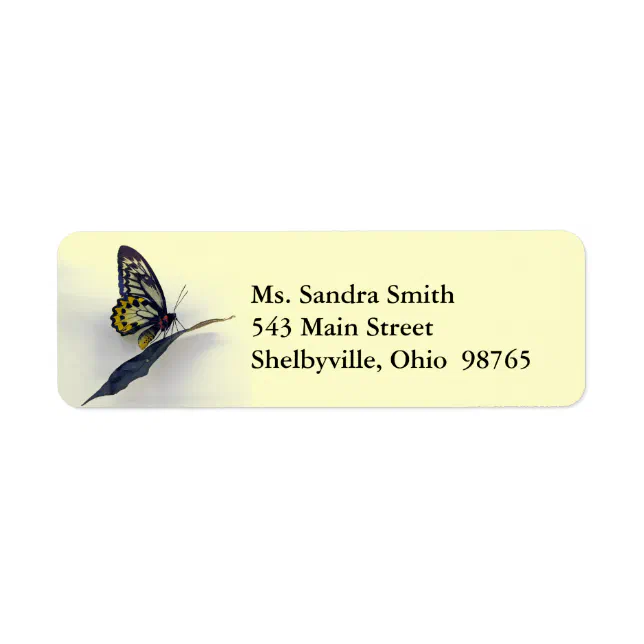 Swallowtail Butterfly Return Address Labels | Zazzle