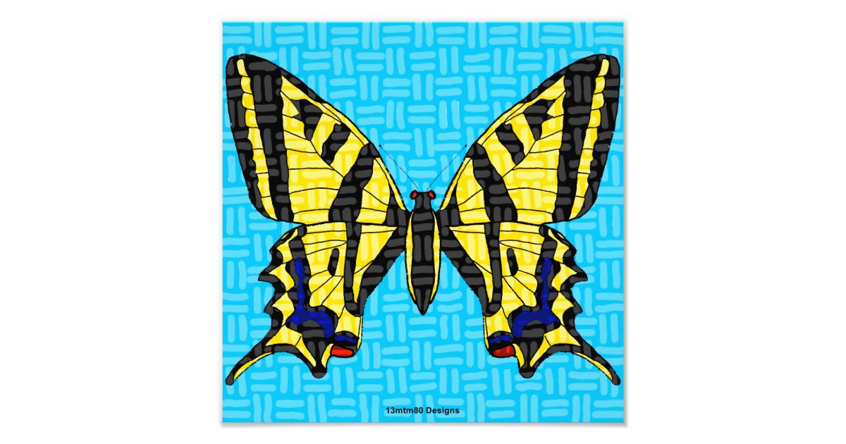 Swallowtail - Photo Print | Zazzle