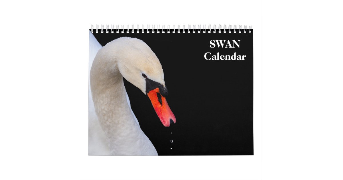 Swan 2026 calendar | Zazzle