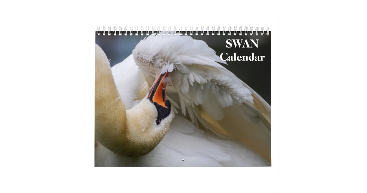 Swan 2026 calendar | Zazzle