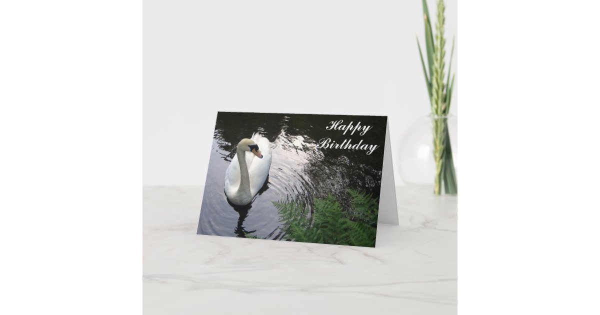 Swan Birthday card | Zazzle
