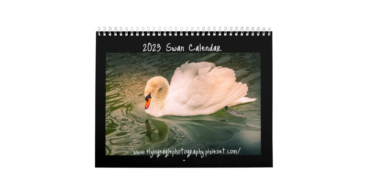 Swan Calendar 2023 | Zazzle