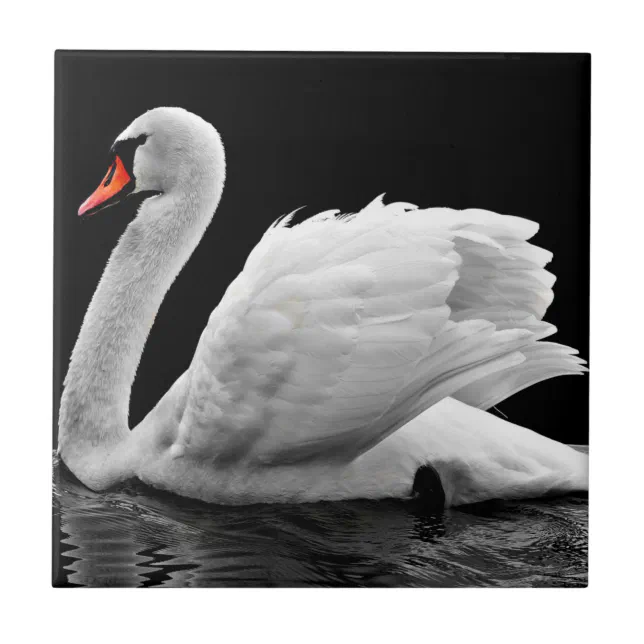 Swan Ceramic Tile | Zazzle