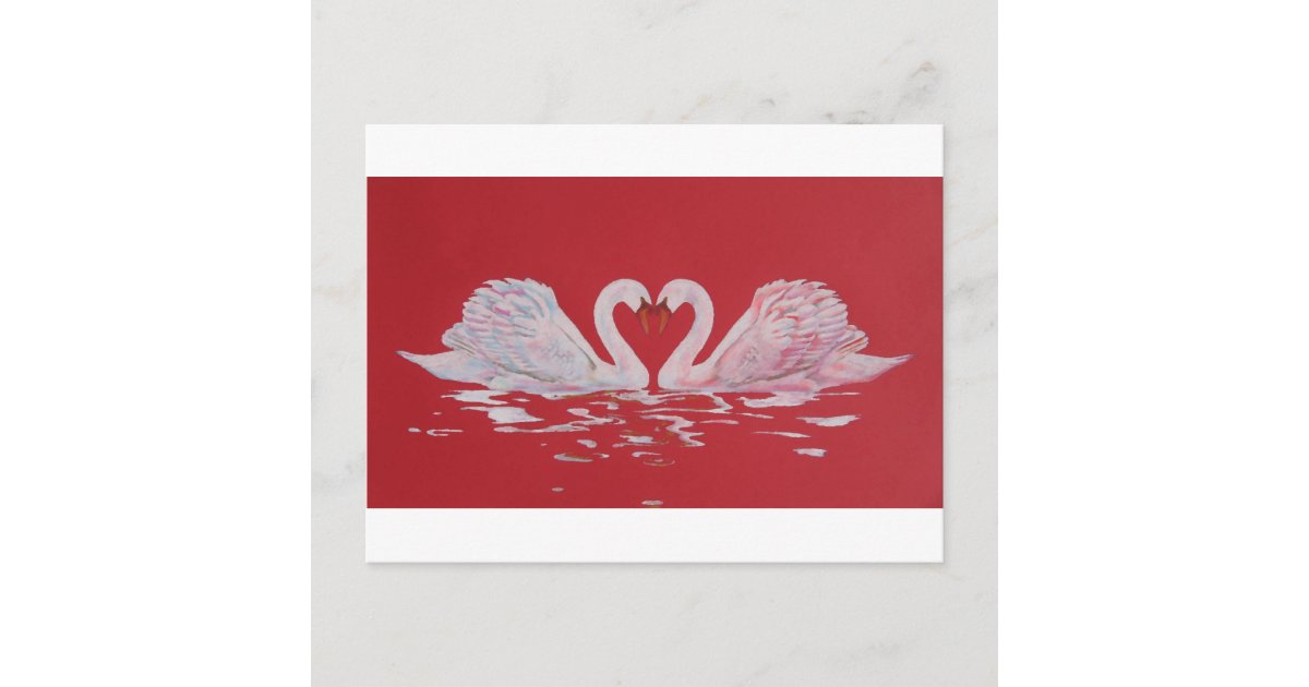 Swan Heart Postcard | Zazzle