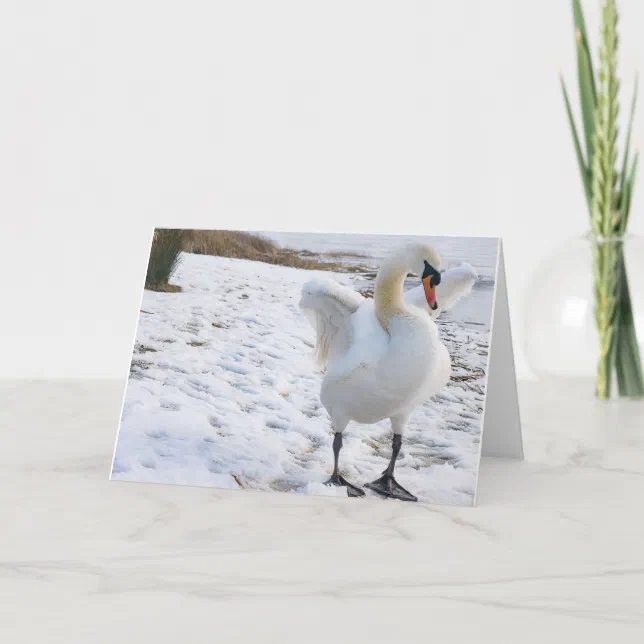 Swan Holiday Card | Zazzle