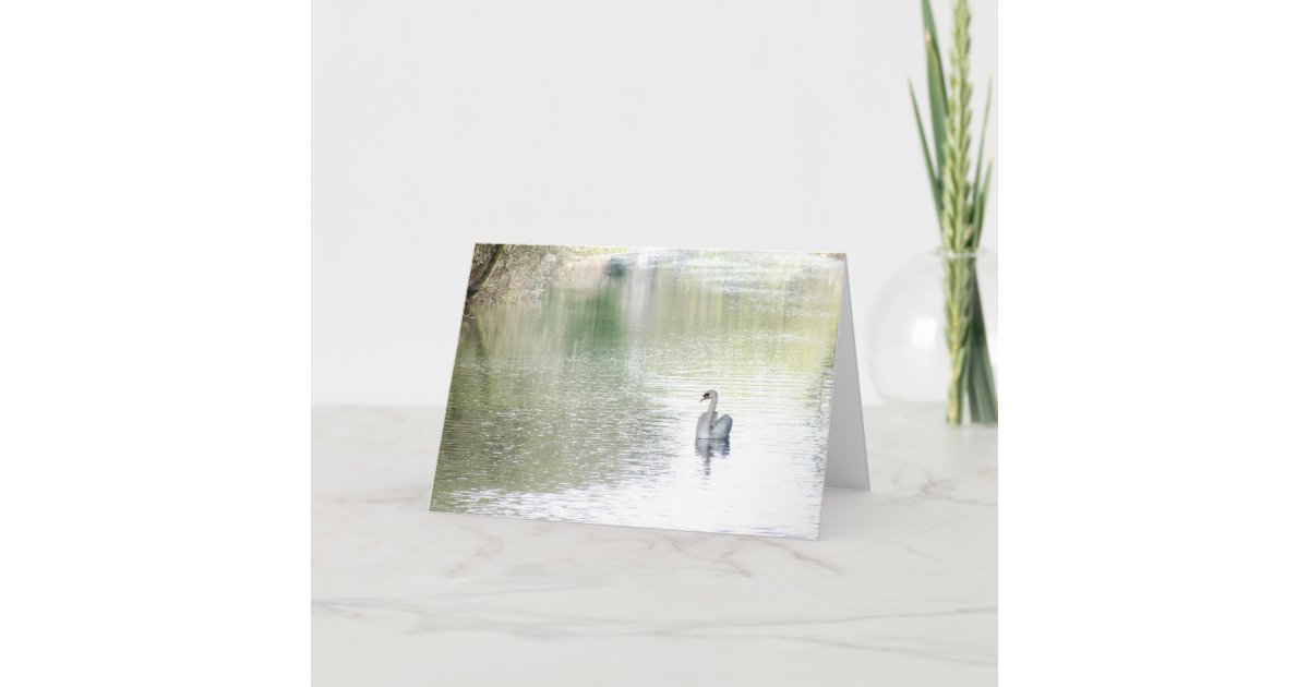 Swan Lake Card | Zazzle