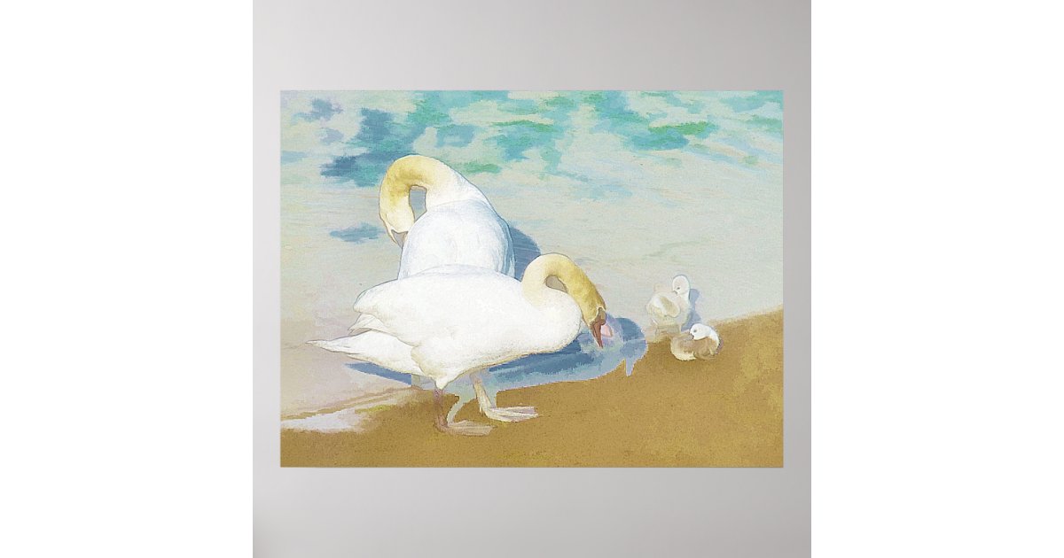 SWANS POSTER | Zazzle