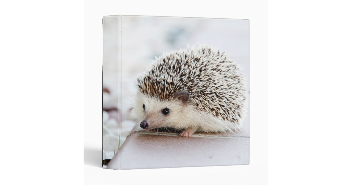 Sweet Baby Hedgehog Binder | Zazzle