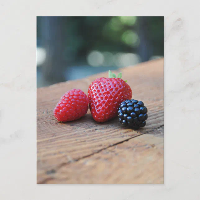 Sweet Berries Postcard | Zazzle