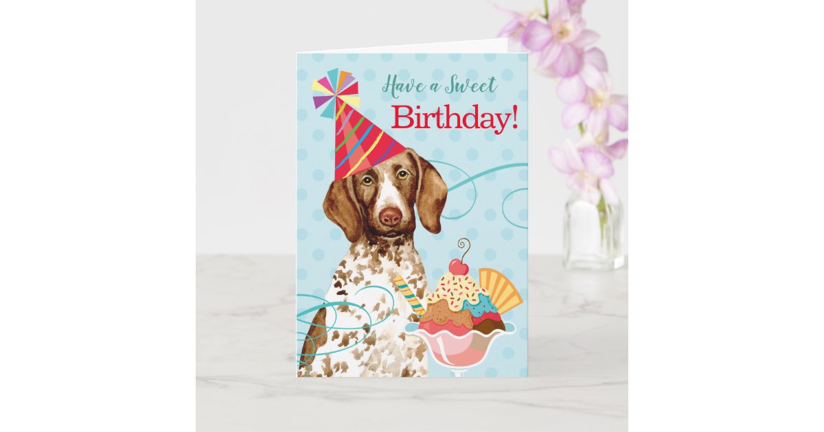 Sweet Birthday German Shorthaired Pointer Card | Zazzle
