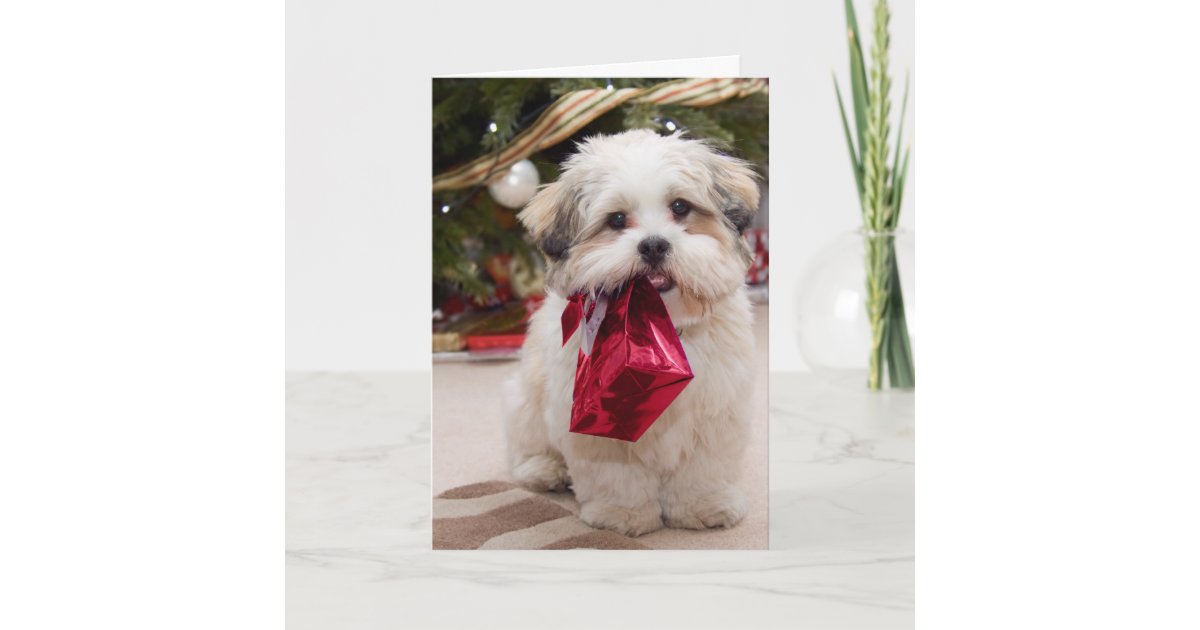 Sweet Christmas Puppy Cards | Zazzle